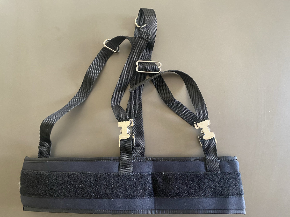 Champion Skating Harness - Regular Size – Stay Sharp Sports